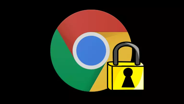 Wie lädt man Google Chrome-Passwörter herunter und exportiert sie? 10941_1