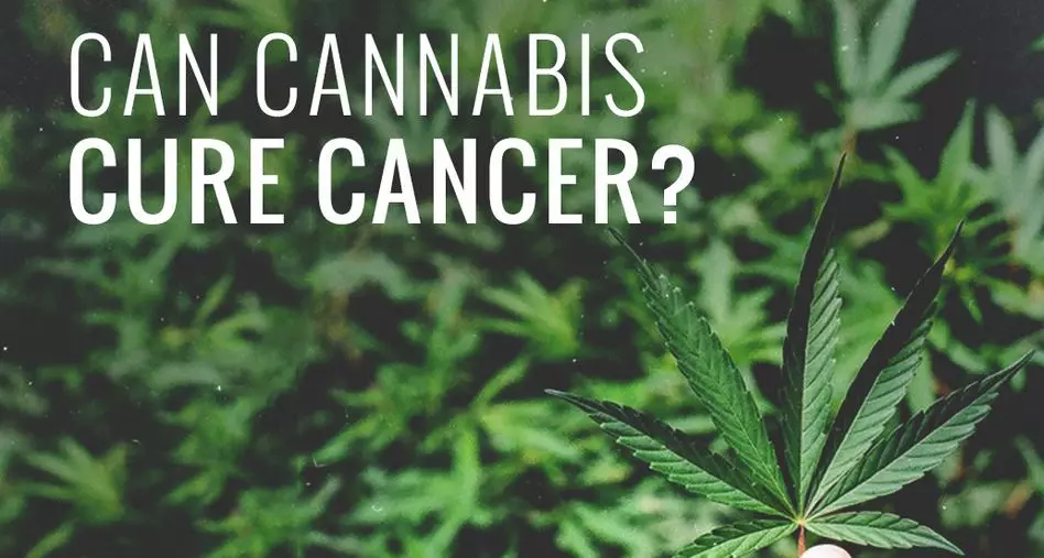 dagga-genees-kanker-cannabis