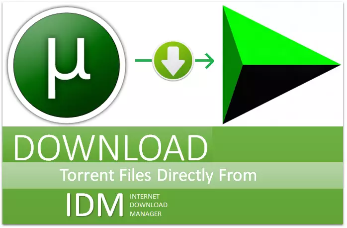 4 วิธีในการดาวน์โหลด Torrents ออนไลน์โดยใช้ IDM 14304_1