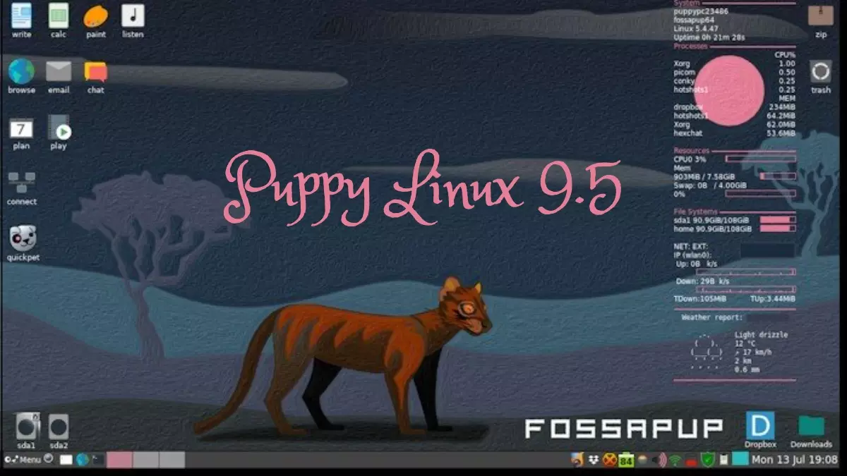 Lightweight Puppy Linux 9.5 Yotulutsidwa, Kutengera Ubuntu 20.04 LTS