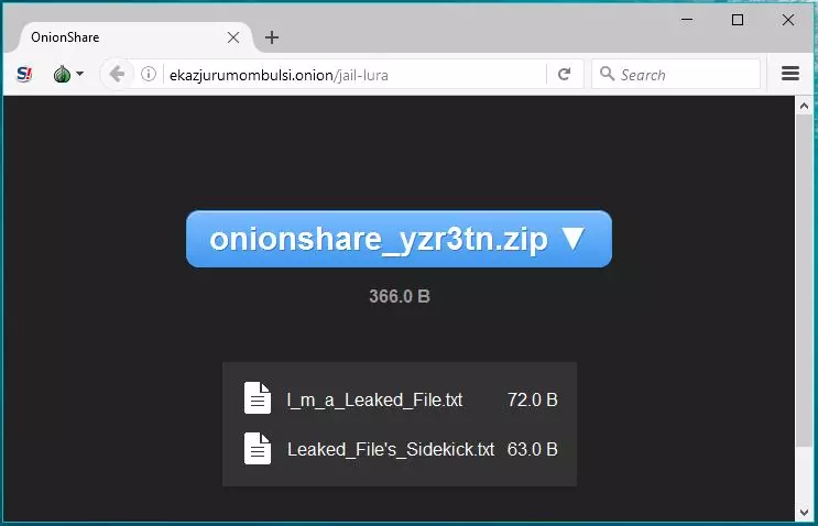 share-files-tor-network-3 |