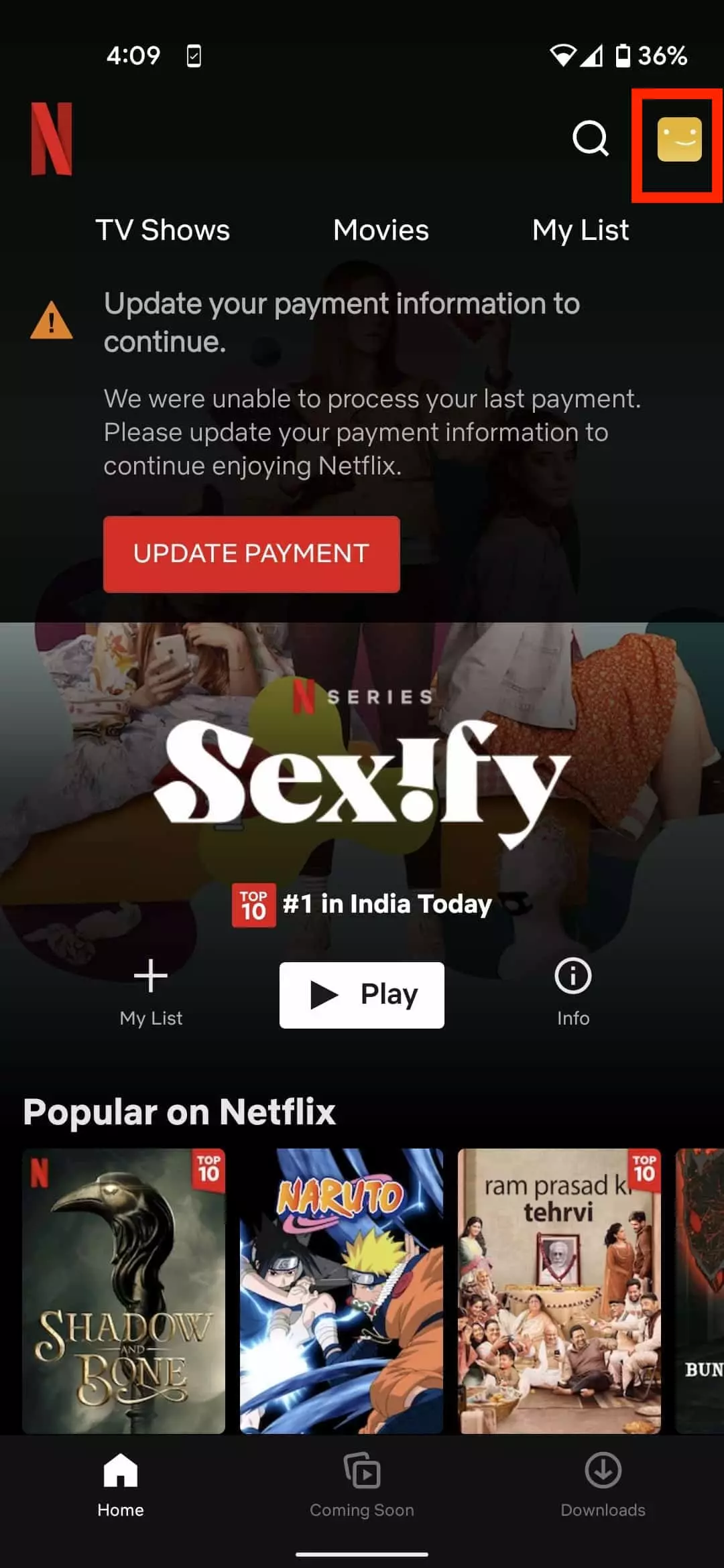 Netflix-Startbildschirm Android