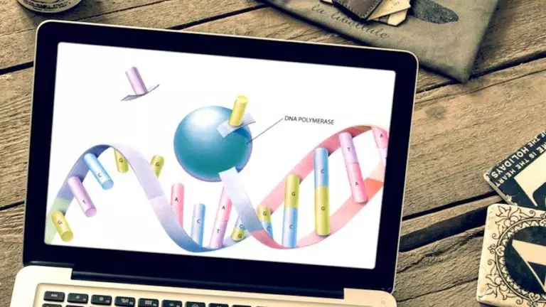 komputasi dna