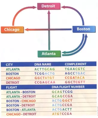 dna computing 1