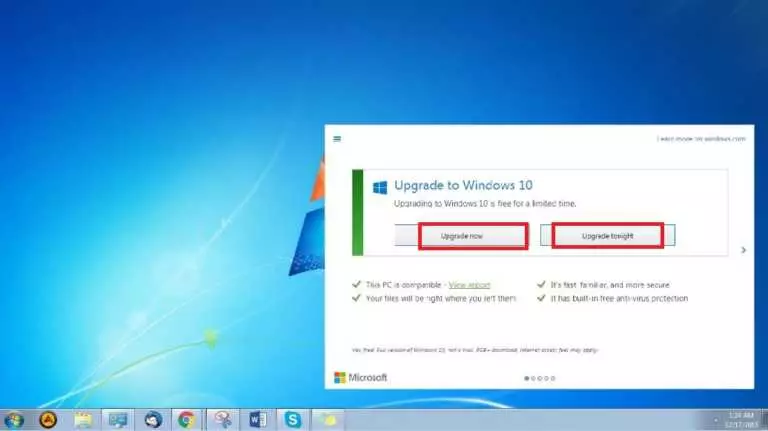 Windows-10-Upgrade-Welpe-heute-Nacht