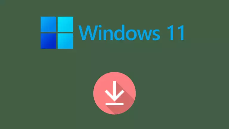 windows 11 ကိုဒေါင်းလုဒ်လုပ်ပါ။