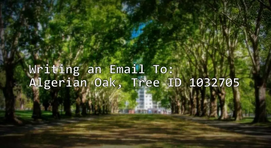 جب آپ کسی درخت کو ای میل ایڈریس دیتے ہیں تو یہاں کیا ہوتا ہے۔