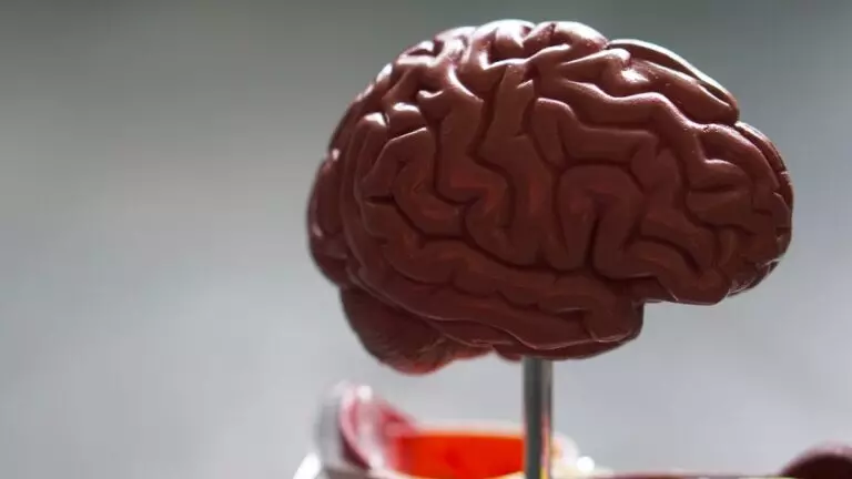 Neuralink vs Otak