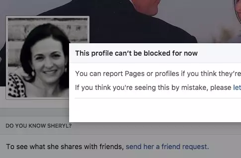 שריל סנדברג לא ניתן לחסום בפייסבוק
